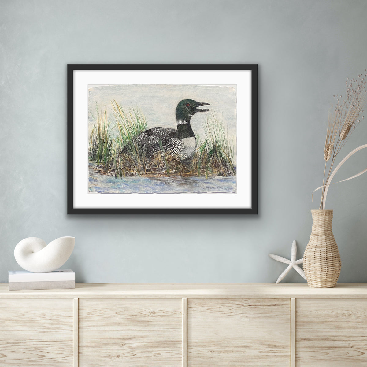 Common Loon – Cube Projects