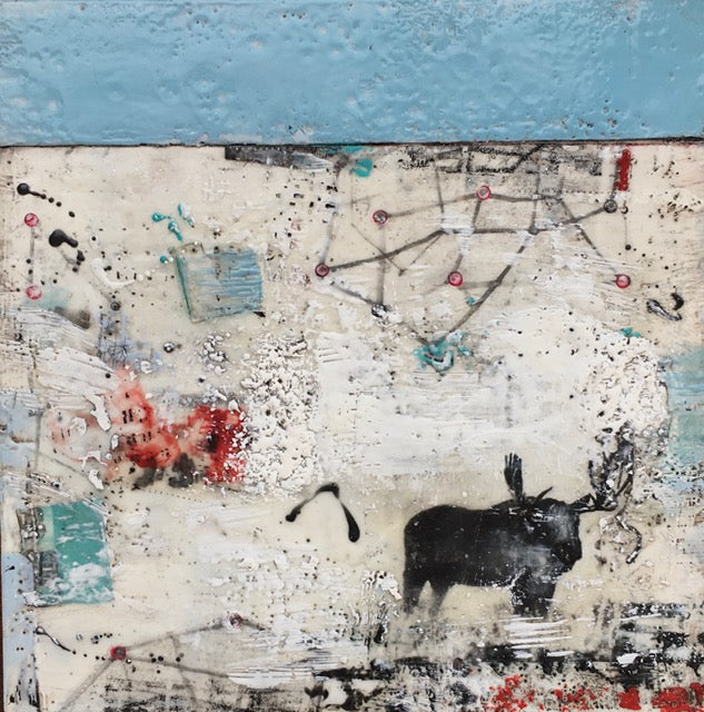 Susan Ukkola "Urban Moose" – Cube Projects